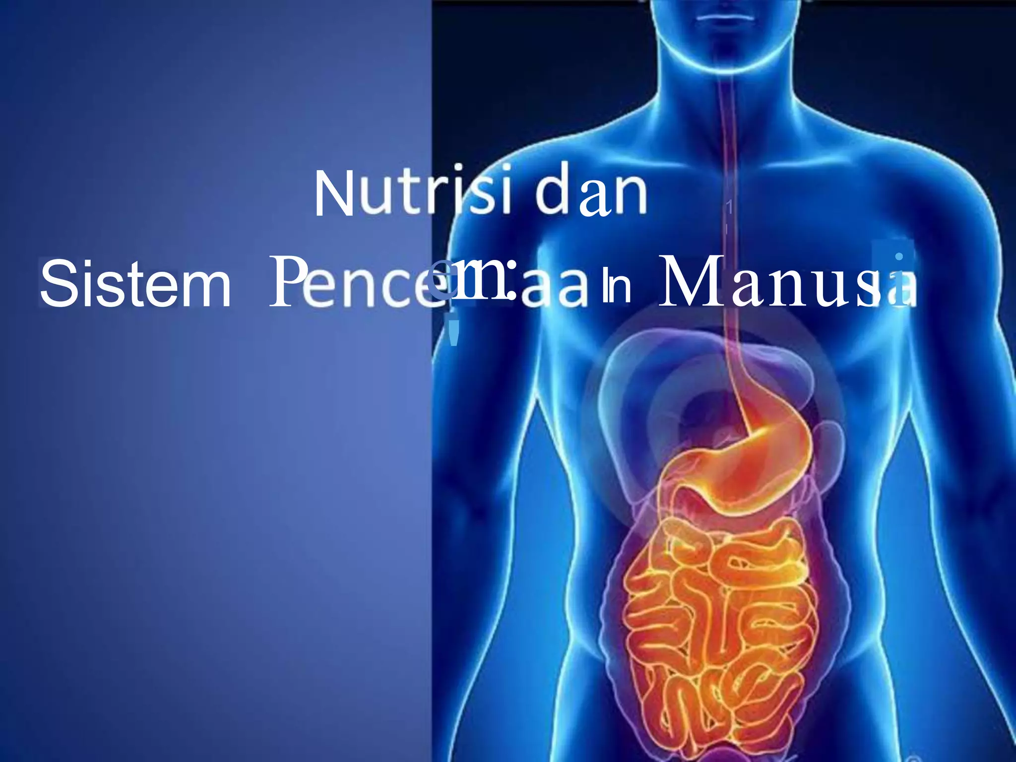 sistem pencernaan manusia.pptx