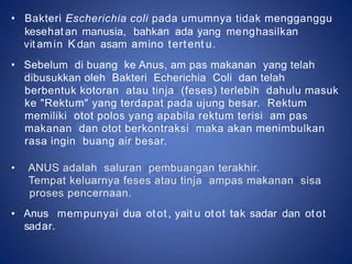 sistem pencernaan manusia.pptx