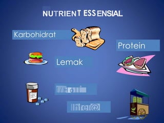 sistem pencernaan manusia.pptx