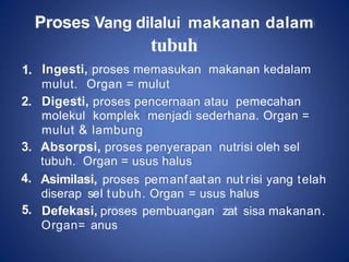sistem pencernaan manusia.pptx