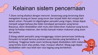 sistem pencernaan manusia biologi kelas 12 MIPA.pptx