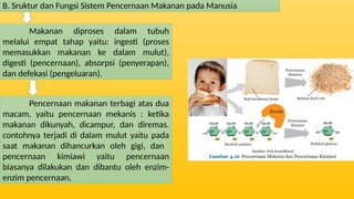 SISTEM PENCERNAAN MANUSIA dan nutrisi makanan.pptx