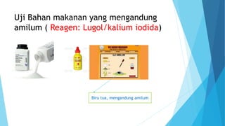 SISTEM PENCERNAAN MANUSIA | PPT