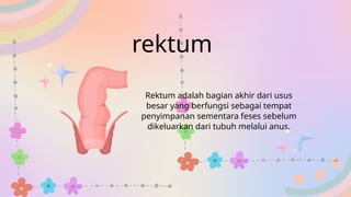 sistem pencernaan manusia kelompok 4 8e_20240830_092856_0000.pptx