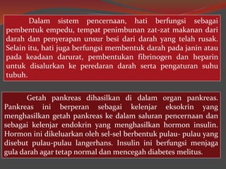 ppt Sistem pencernaan | PPTX