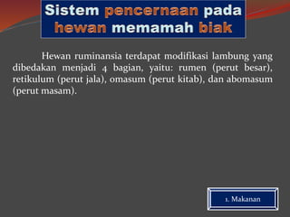 ppt Sistem pencernaan | PPTX