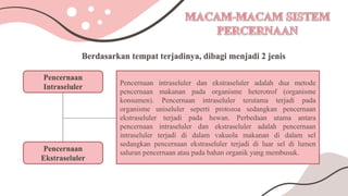 Sistem pencernaan pada hewan vertebrata | PPTX