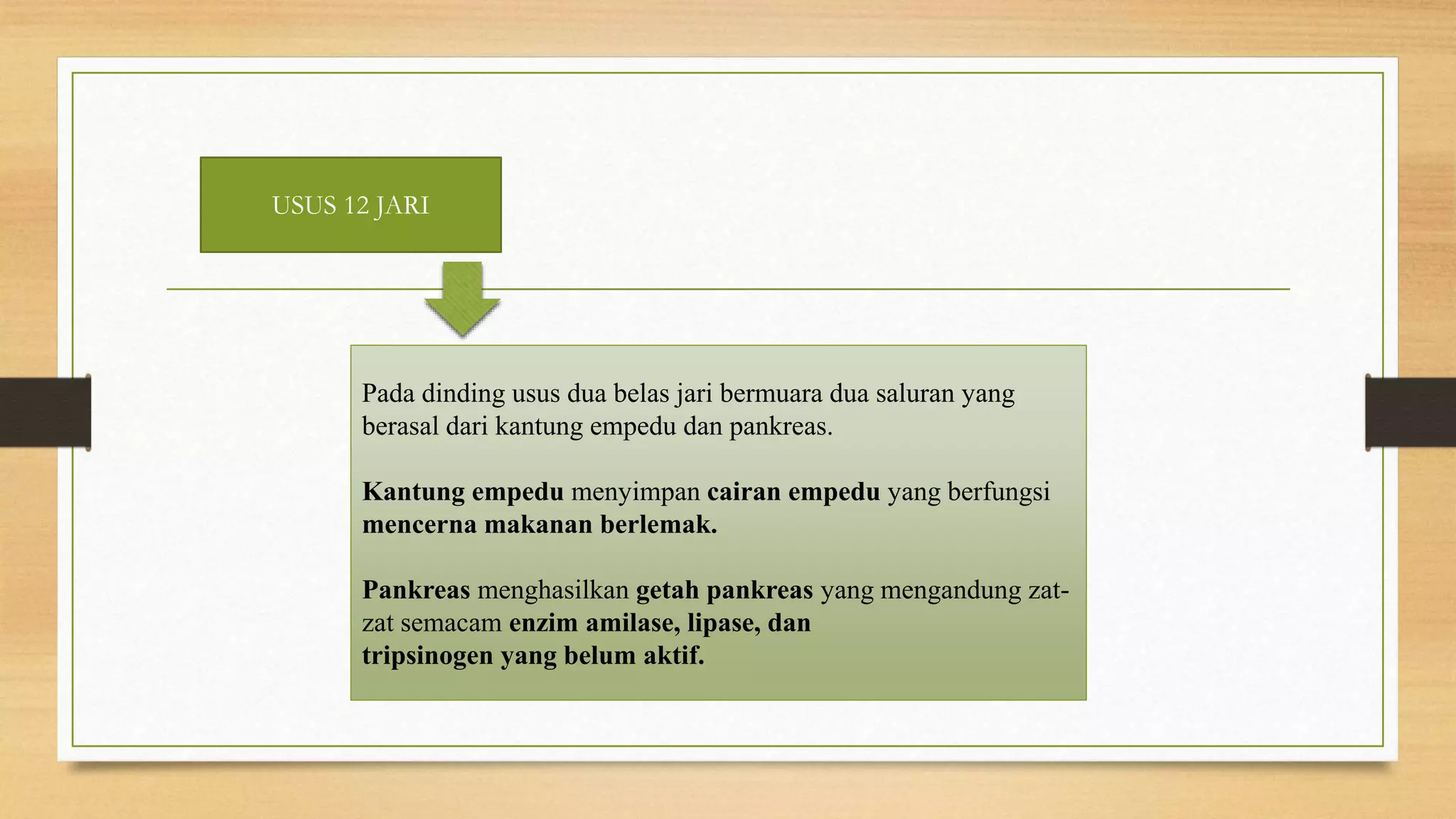 SISTEM PENCERNAAN PADA MANUSIA.pptx
