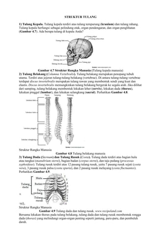 Sistem pencernaan pada manusia dan zat yang berada di lambung | PDF