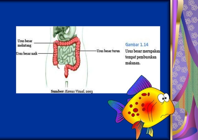 Sistem pencernaan pada manusia | PPTX