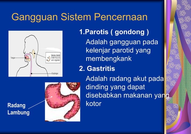 Sistem pencernaan pada manusia | PPTX