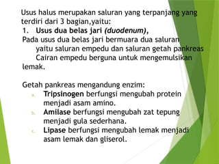 SISTEM PENCERNAAN PADA MANUSIA PART 2.pptx