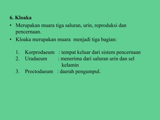 Sistem pencernaan pada reptil | PPTX