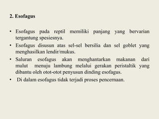 Sistem pencernaan pada reptil | PPTX