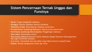 SISTEM PENCERNAAN PADA UNGGAS [Autosaved].pptx