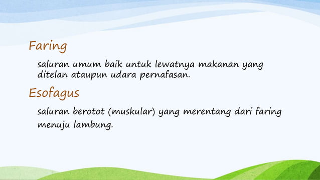 Sistem Pencernaan Ruminansia | PPTX