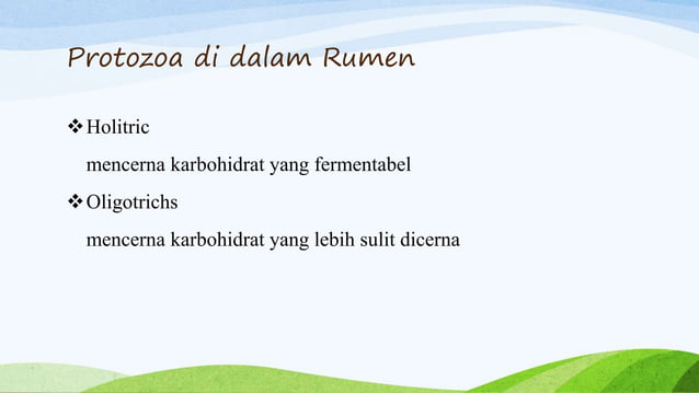 Sistem Pencernaan Ruminansia | PPTX