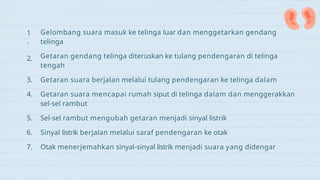 Mekanisme dan Fungsi Sistem Pendengaran Manusia secara Lengkap | PPTX