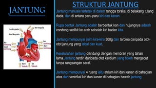 Sistem pengangkutan dalam manusia tingkatan 3 bab 2 | PPTX