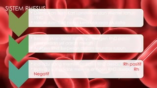 Sistem penggolongan darah manusia kelas xi sma.pptx