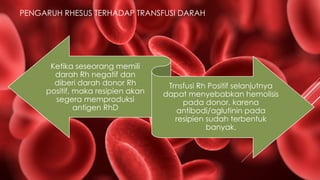 Sistem penggolongan darah manusia kelas xi sma.pptx