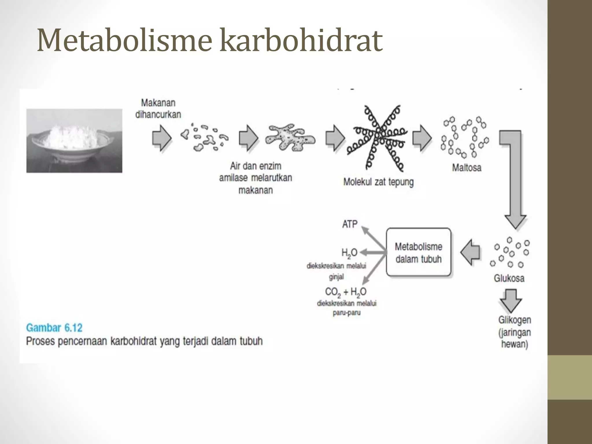 Sistem penghadaman | PPTX