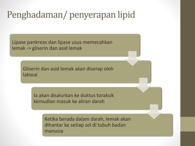 Sistem penghadaman | PPTX