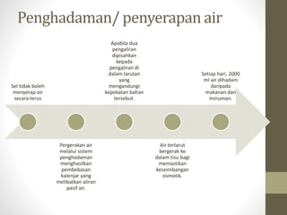 Sistem penghadaman | PPTX