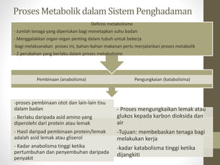 Sistem penghadaman | PPTX