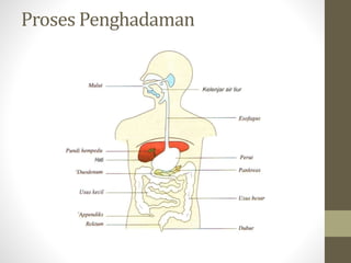 Sistem penghadaman | PPTX