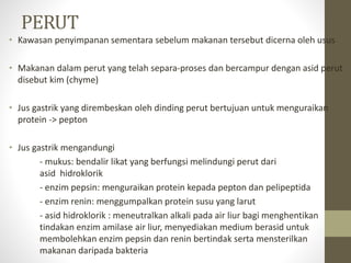 Sistem penghadaman | PPTX