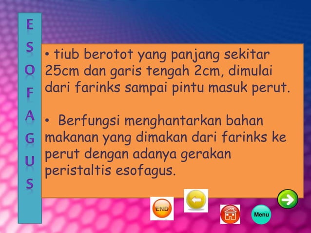 Sistem penghadaman | PPT