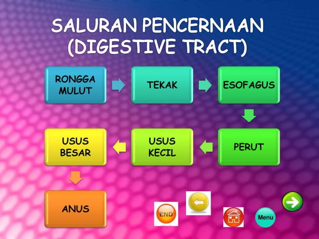 Sistem penghadaman | PPT