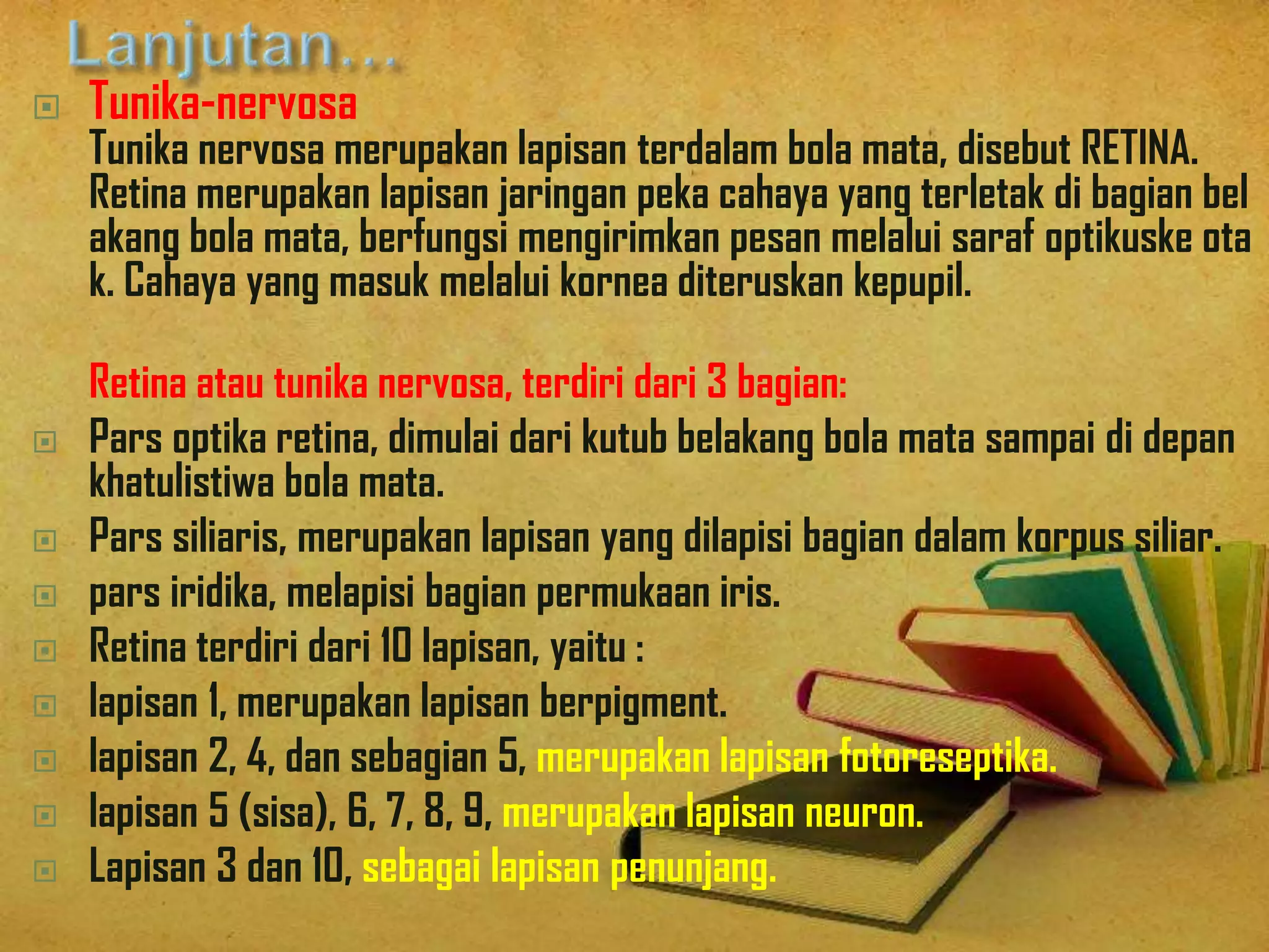 Anatomi Fisiologi Sistem penginderaan | PPTX