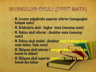 Anatomi Fisiologi Sistem penginderaan | PPTX
