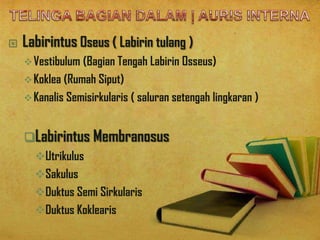 Anatomi Fisiologi Sistem penginderaan | PPTX