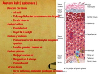 ppt. Sistem penginderaan | PPTX