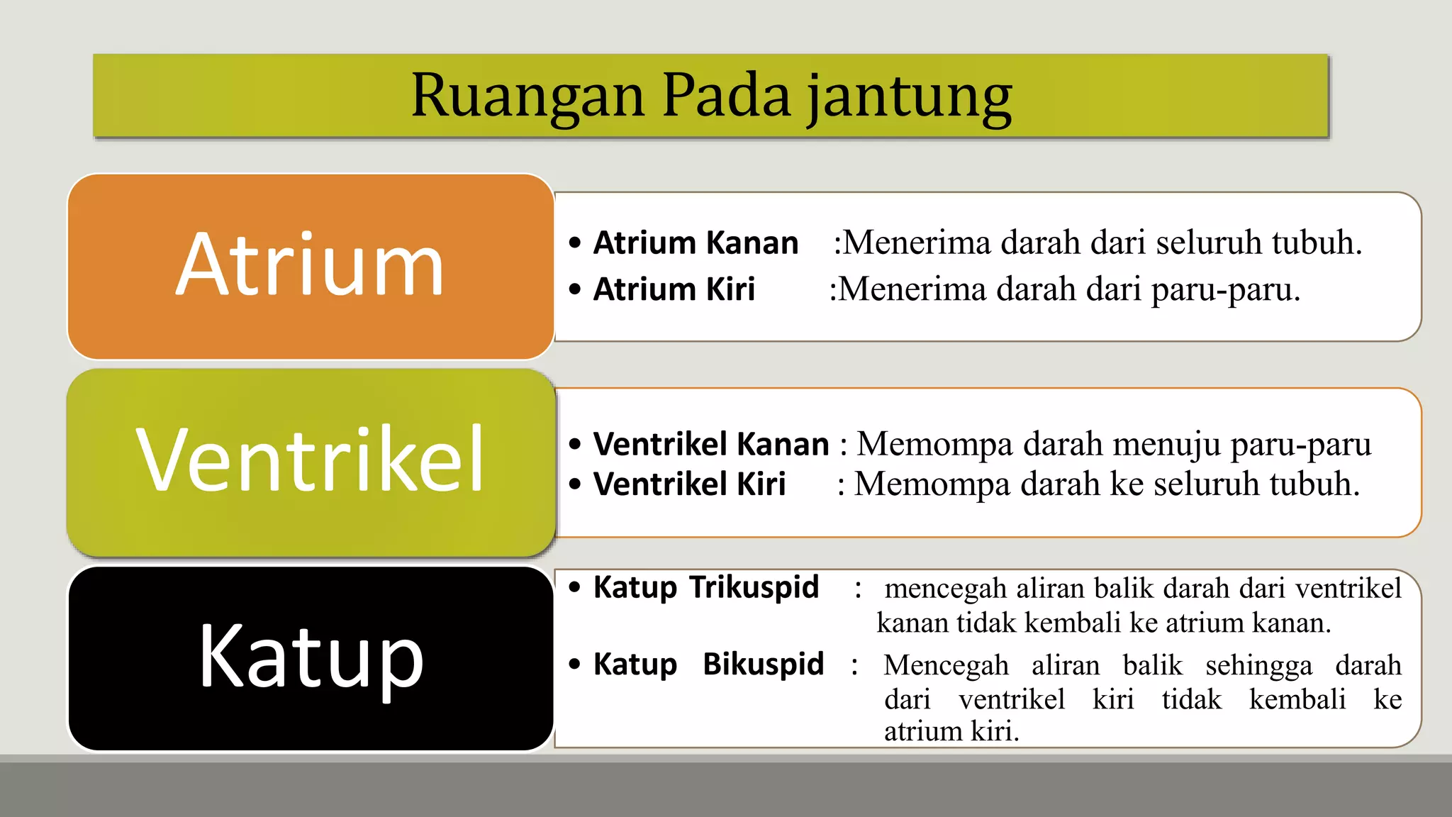 Sistem peredarah darah pada manusia pertemuan 3 | PPTX