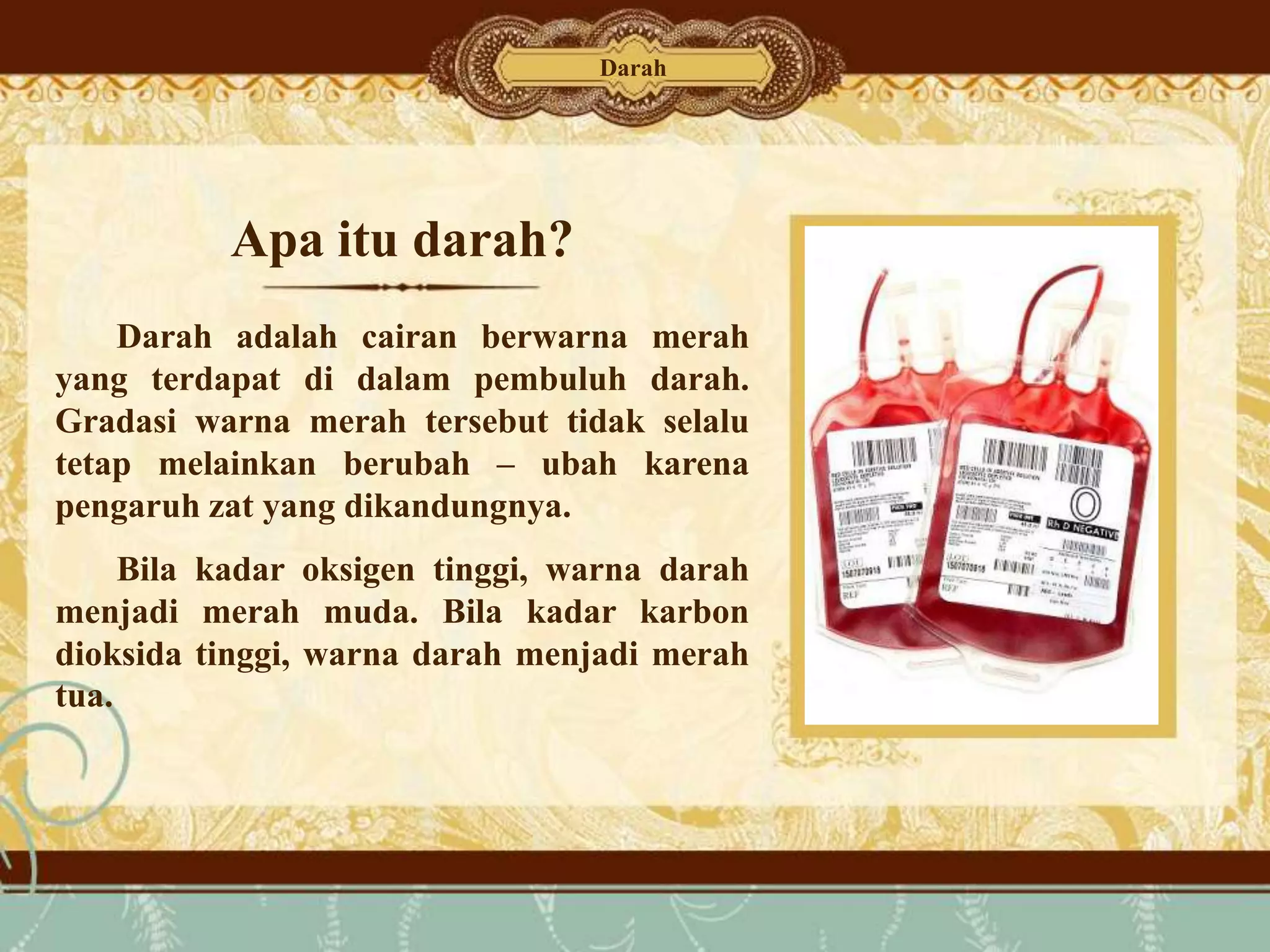 Sistem Peredaran Darah | PPSX