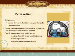 Sistem Peredaran Darah | PPSX