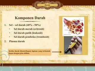 Sistem Peredaran Darah | PPSX