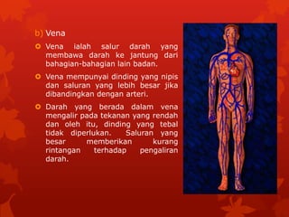 Sistem peredaran darah manusia | PPTX