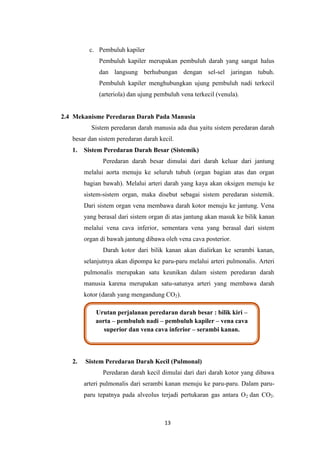 Sistem peredaran darah | PDF