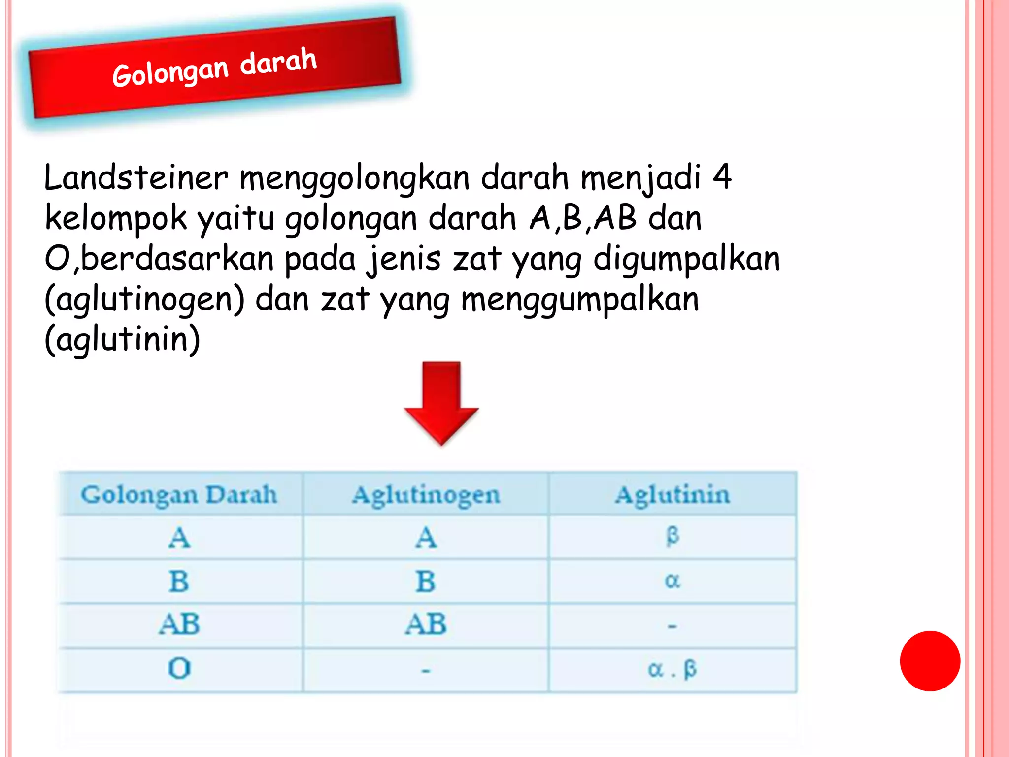 Sistem peredaran darah | PPTX