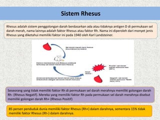 Sistem peredaran darah | PPTX