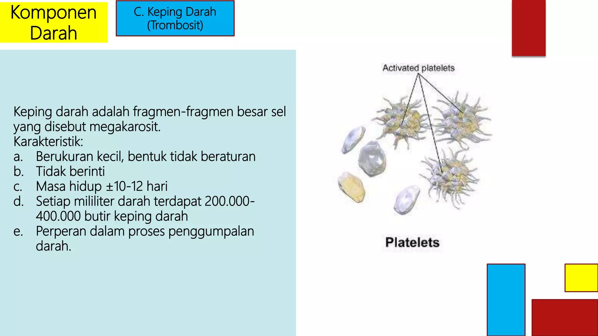 Sistem peredaran darah pada hewan dan manusia | PPTX
