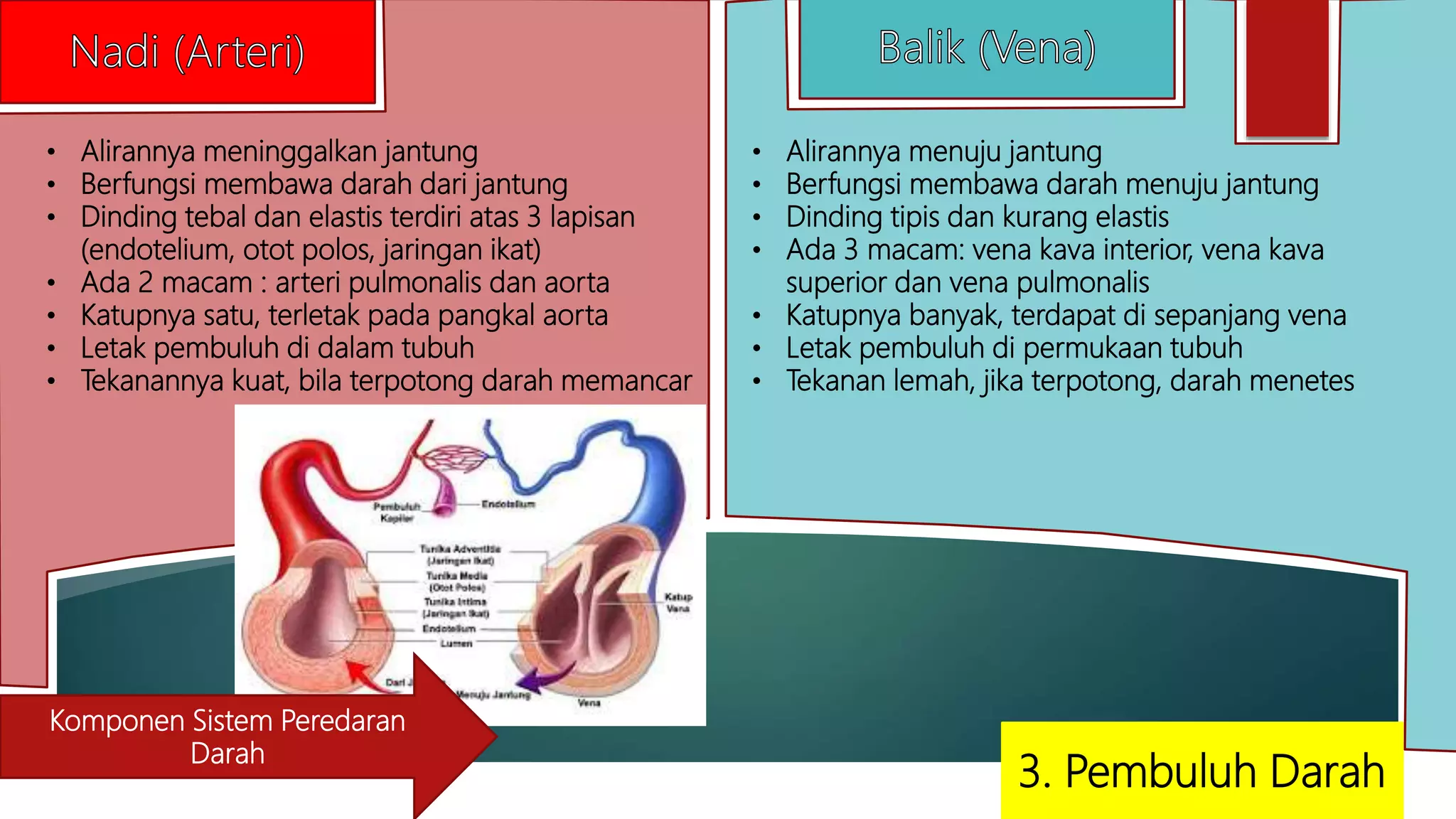 Sistem peredaran darah pada hewan dan manusia | PPTX