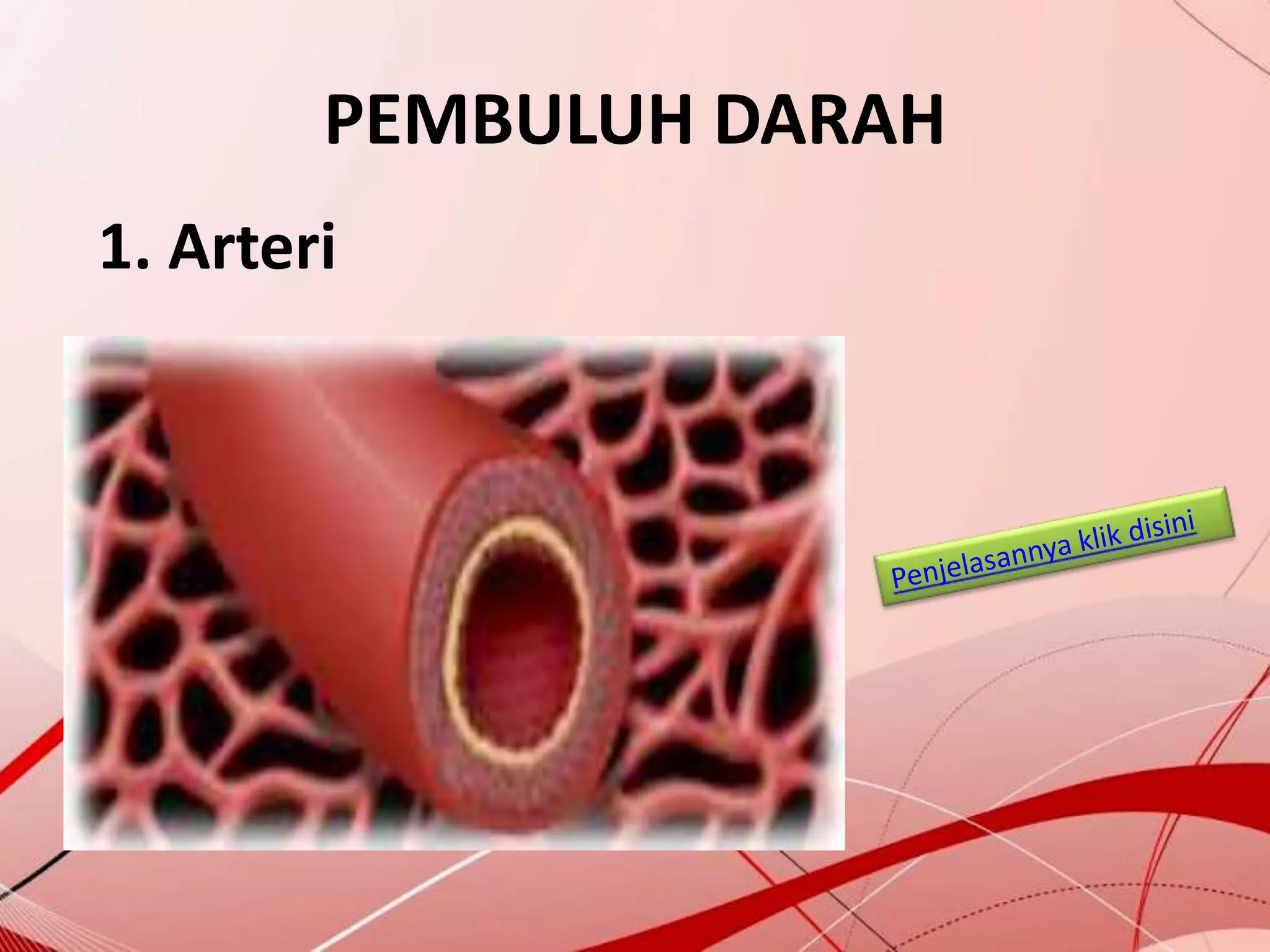 Sistem Peredaran Darah | PPTX
