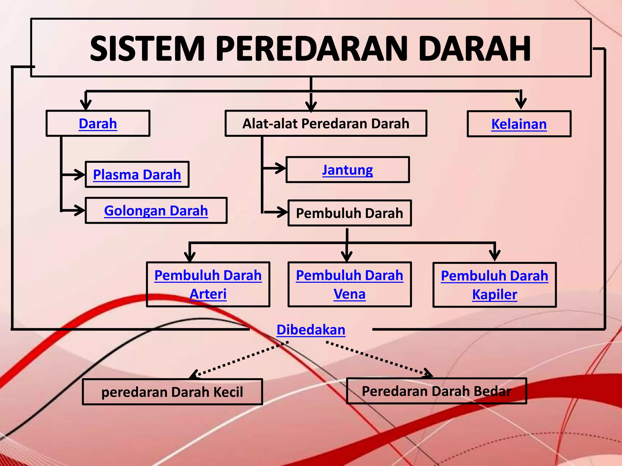 Sistem Peredaran Darah | PPTX