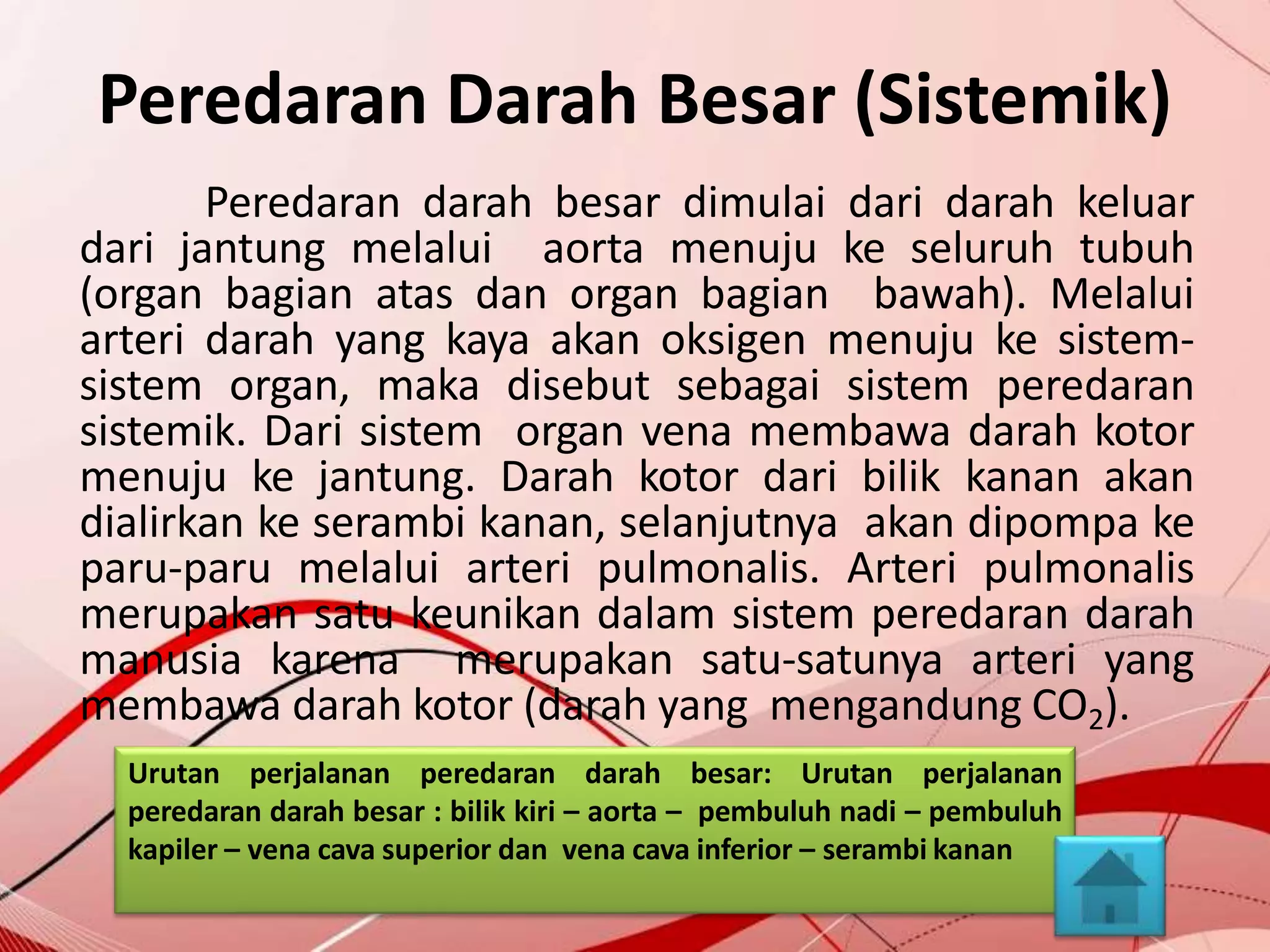 Sistem Peredaran Darah | PPTX